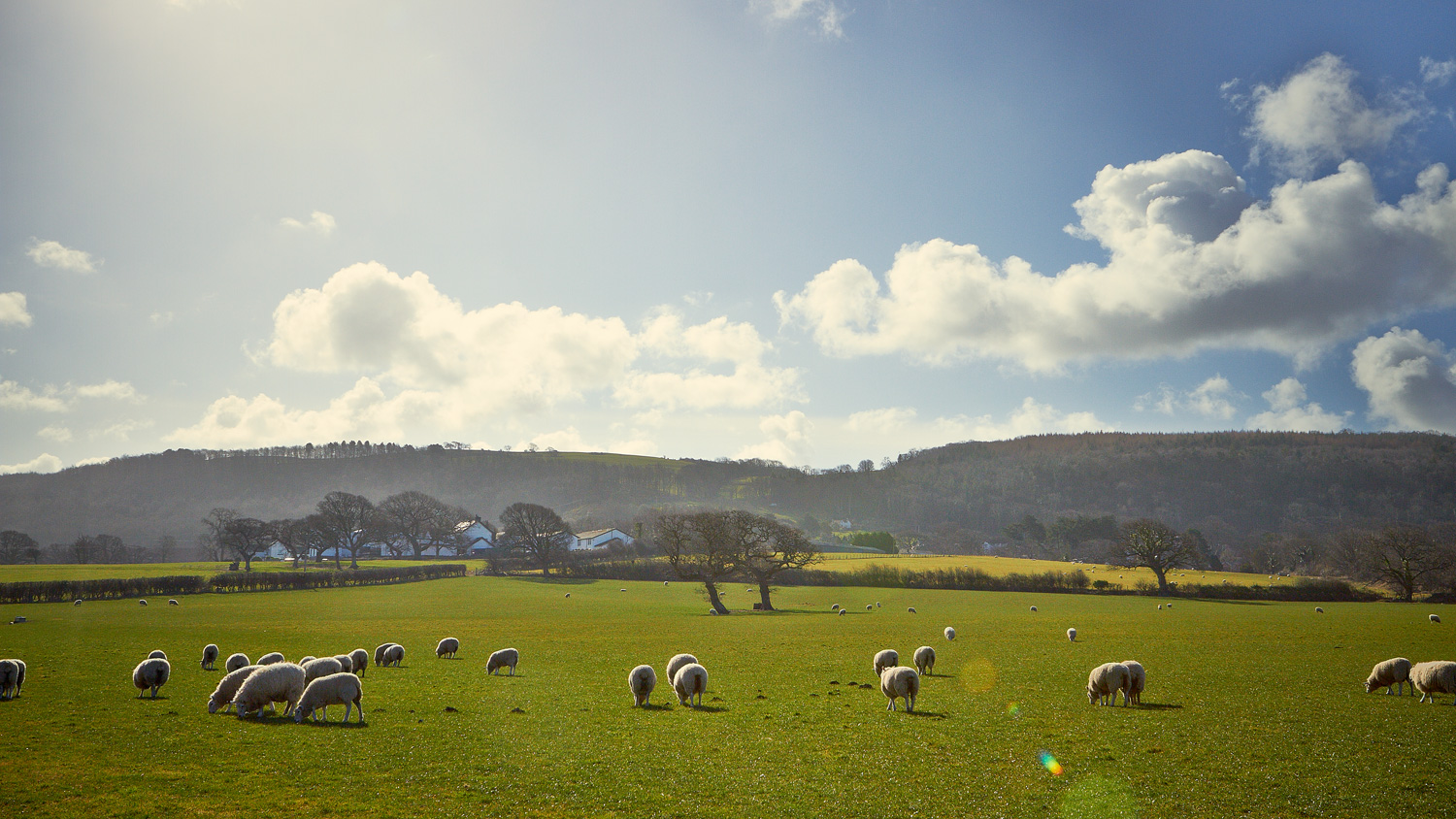 The Kinmel Hotel & Spa - Wedding Venue - Chris Morse Photography