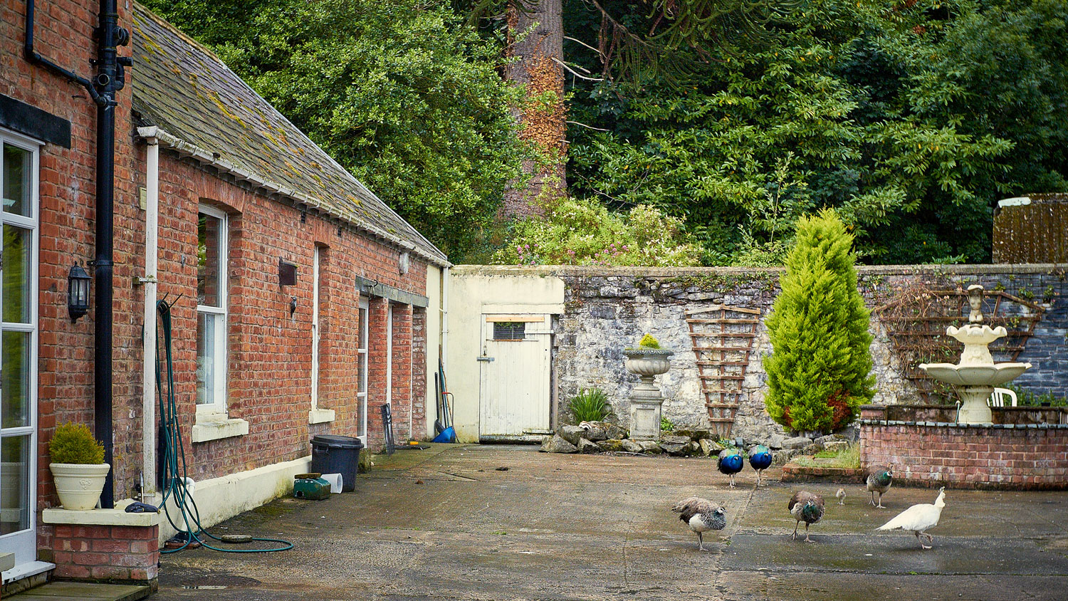 Eriviat Hall, Denbigh - Wedding Photographer - Chris Morse Photography